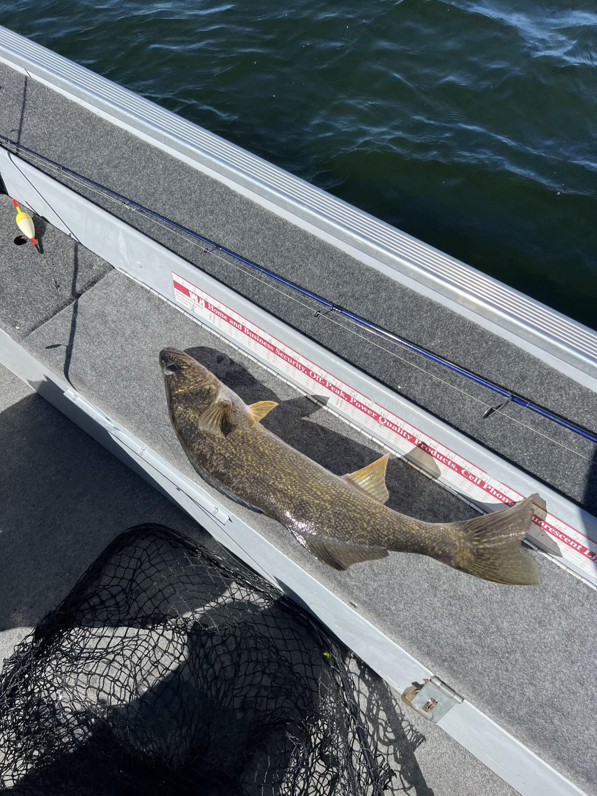Two Coasts, 50 Nights, and Plenty of Walleye | Alaskan Campers